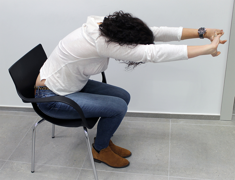 Cinco estiramientos para practicar mientras estudias - Vida Universitaria